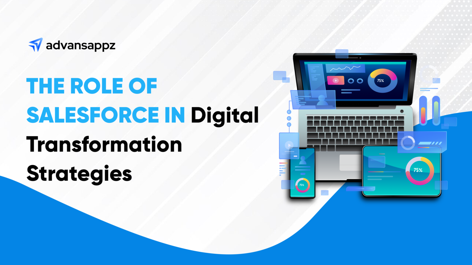 Salesforce Consulting Services Advasnappz